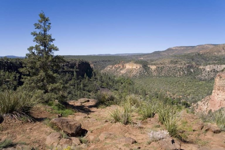 14 Arizona Hot Springs You Can Visit In 2025 (+ Map)